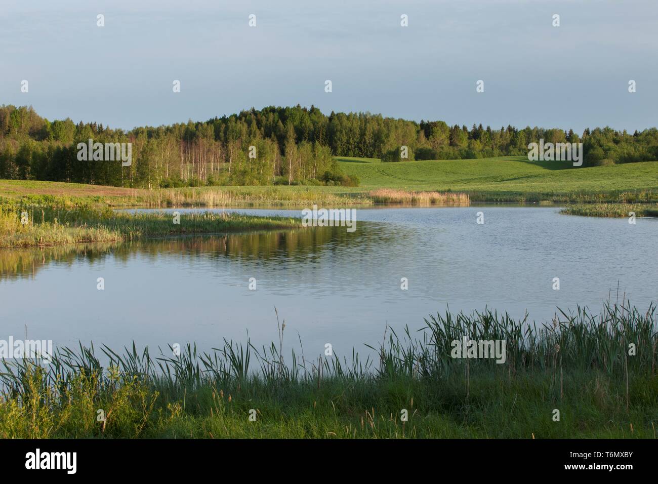 Setumaa setu hi-res stock photography and images - Alamy