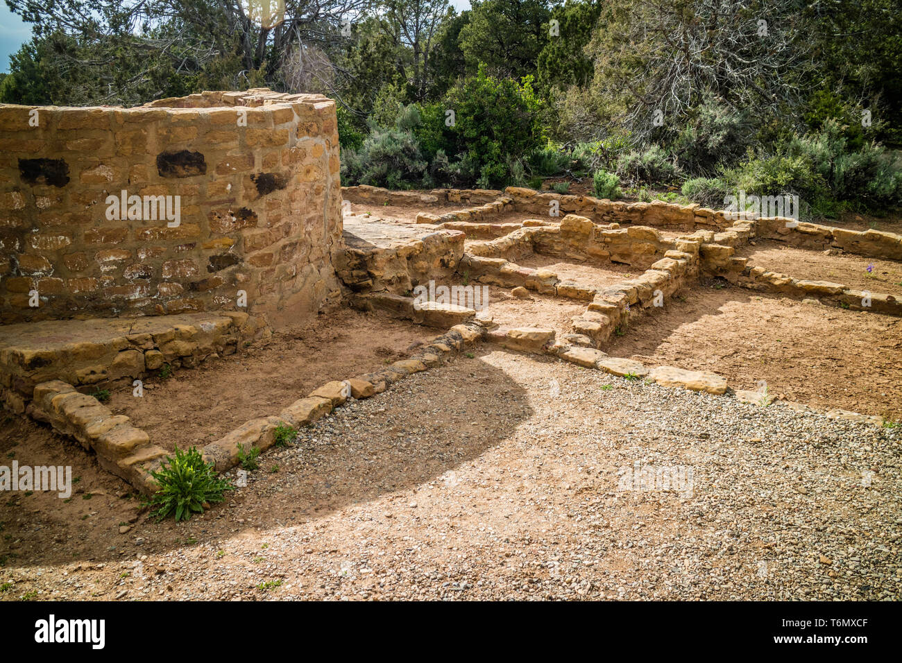 Cedar Tree House in Mesa Verde National Park, Colorado Stock Photo - Alamy