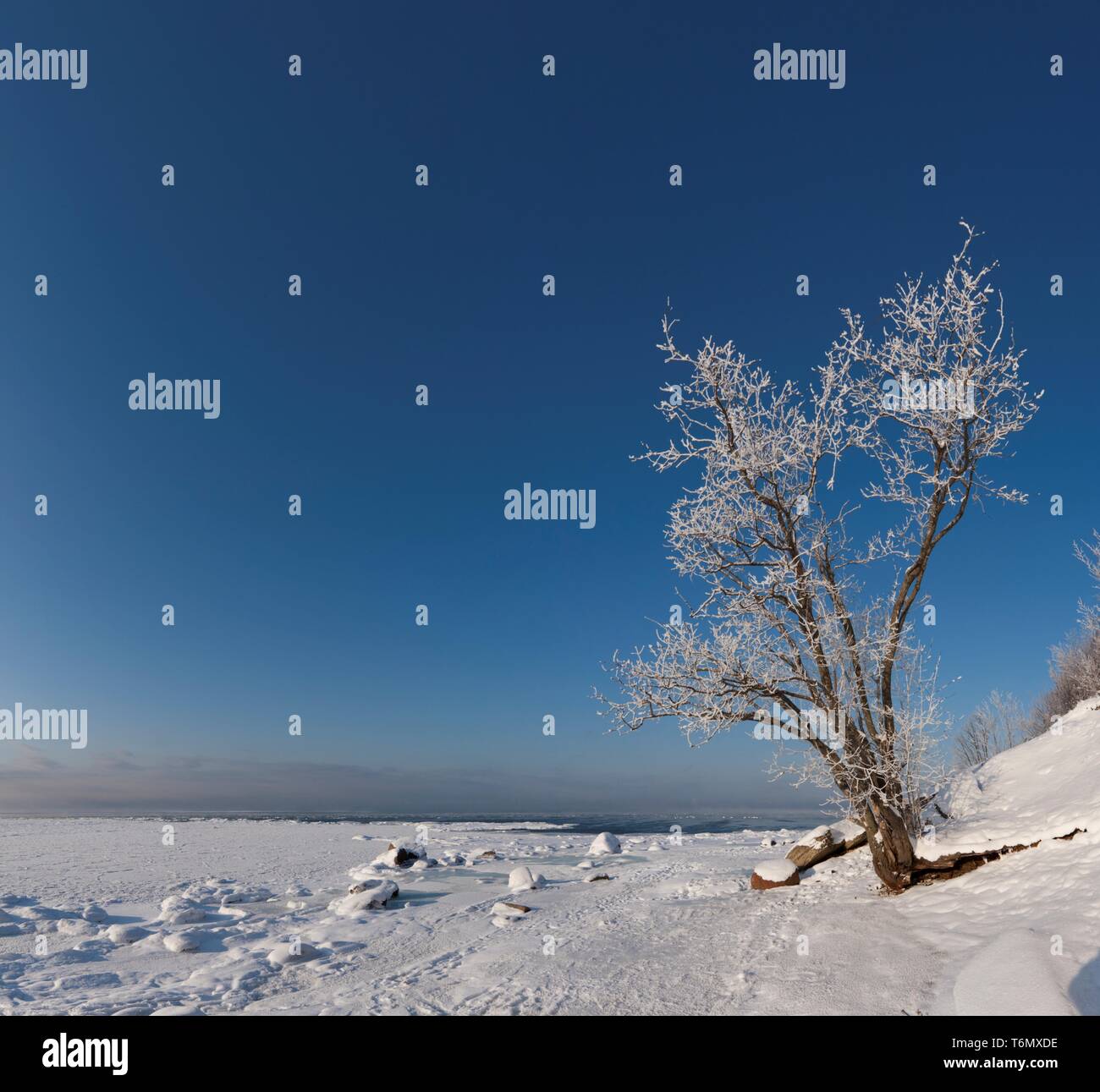 Cliff in Pakri Peninsula Stock Photo - Alamy