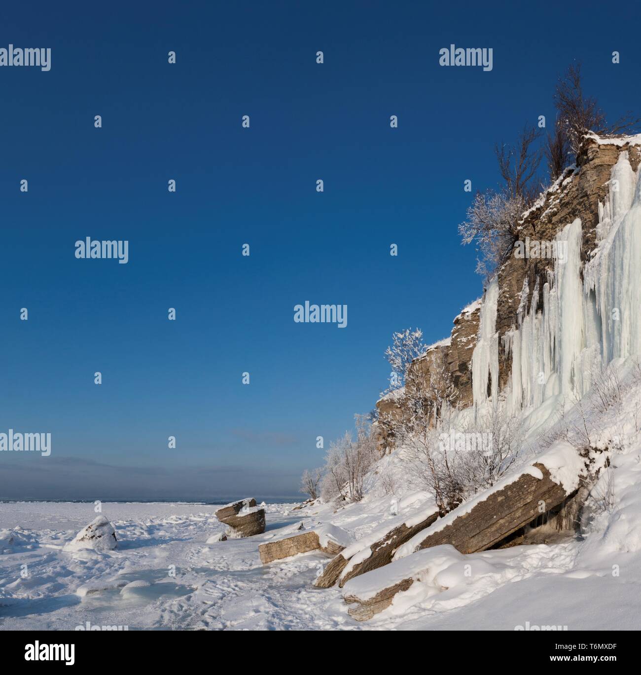 Cliff in Pakri Peninsula Stock Photo - Alamy