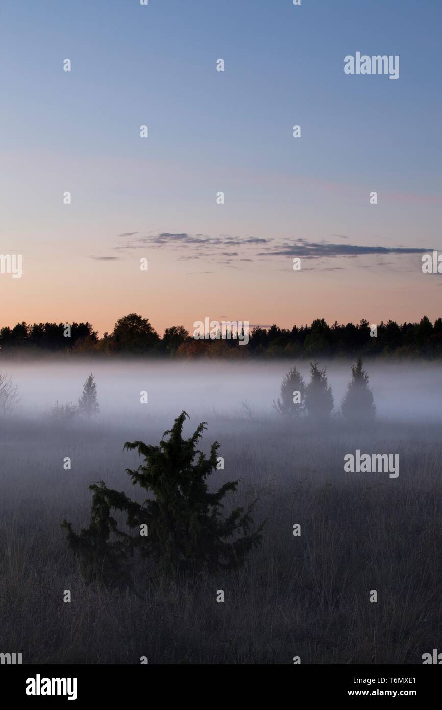 Field in fog Stock Photo - Alamy