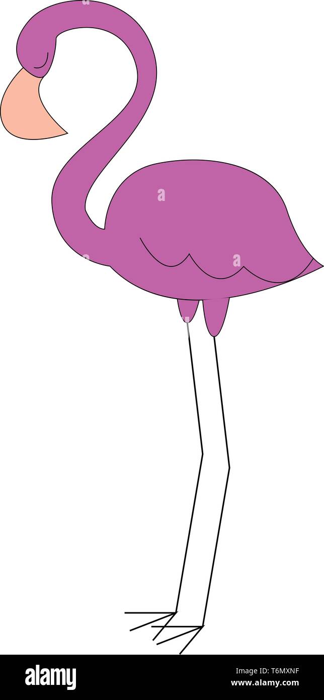 Sad little pink flamingo illustration vector on white background Stock ...