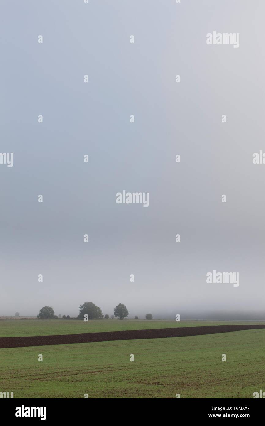 Mist over field hi-res stock photography and images - Alamy