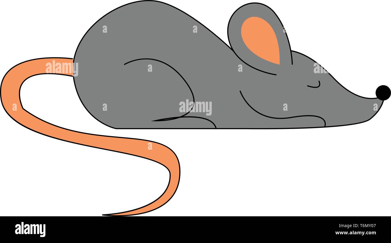 Mouse sleeping illustration vector on white background Stock Vector ...