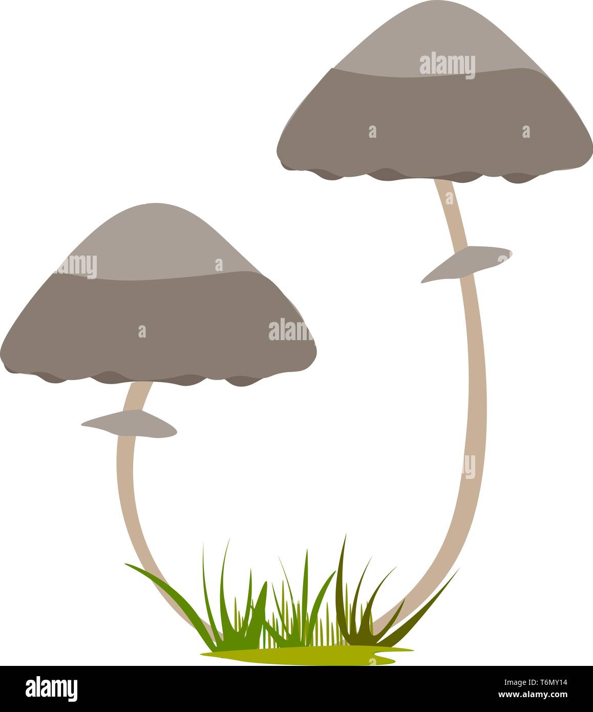 Two mushrooms growing illustration vector on white background Stock ...