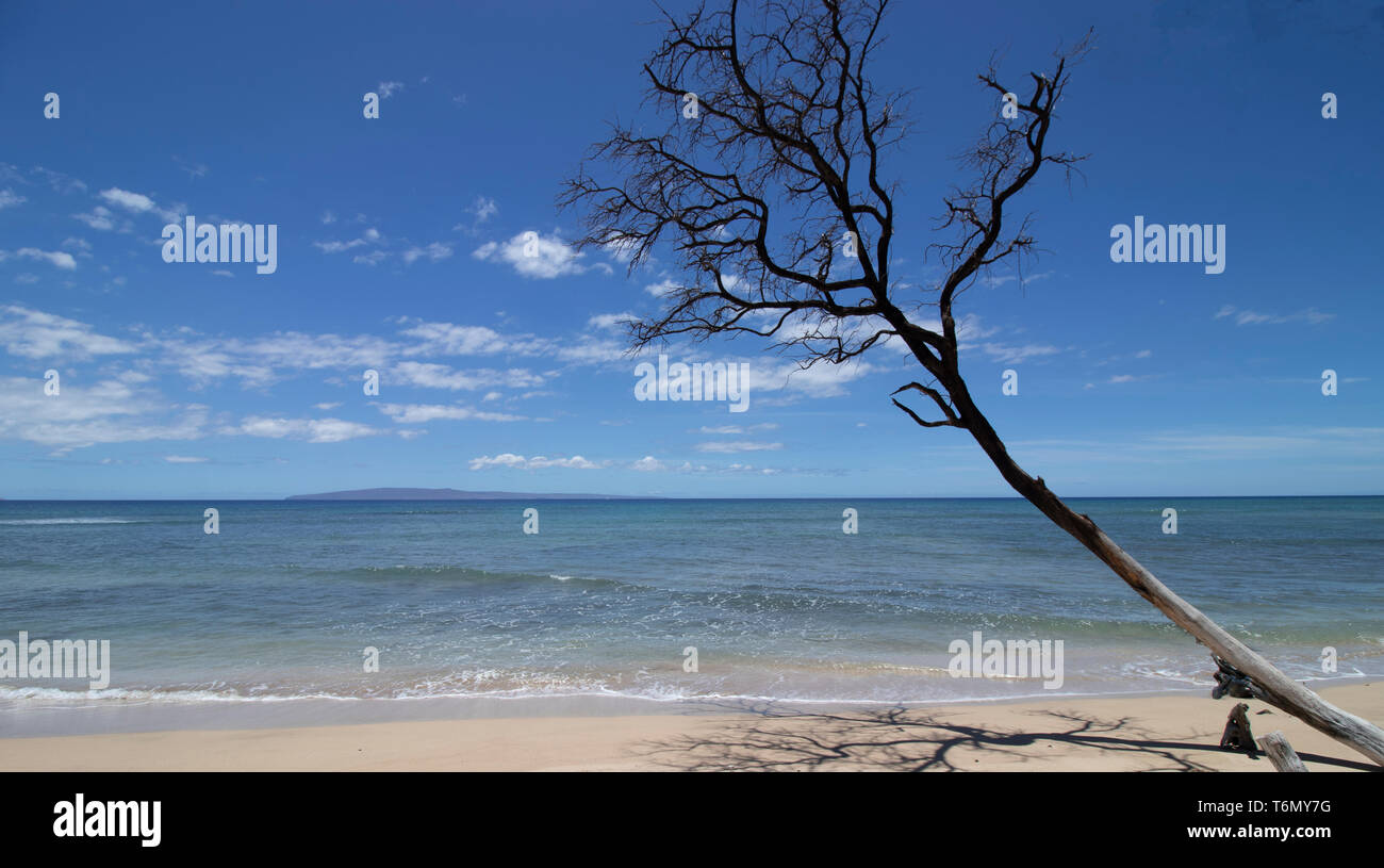 Castaway beach hi-res stock photography and images - Alamy
