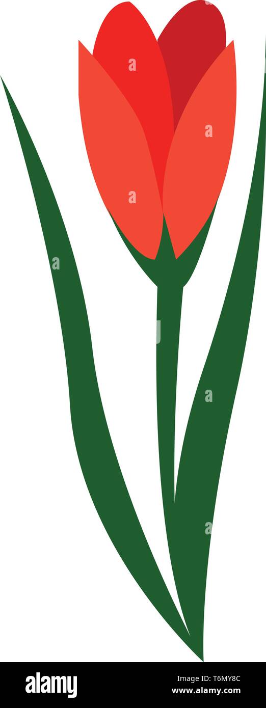 Red flower illustration vector on white background Stock Vector Image ...