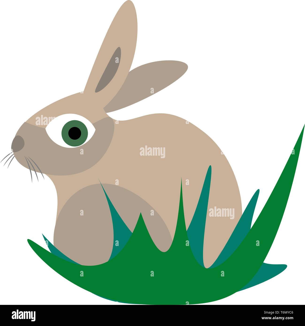 White rabbit mammal on hi-res stock photography and images - Alamy