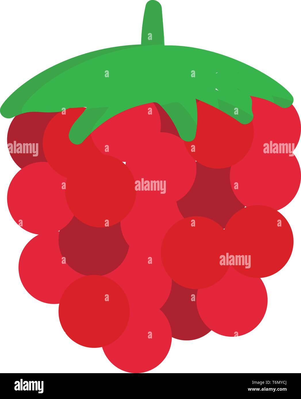 Raspberry illustration vector on white background Stock Vector Image ...