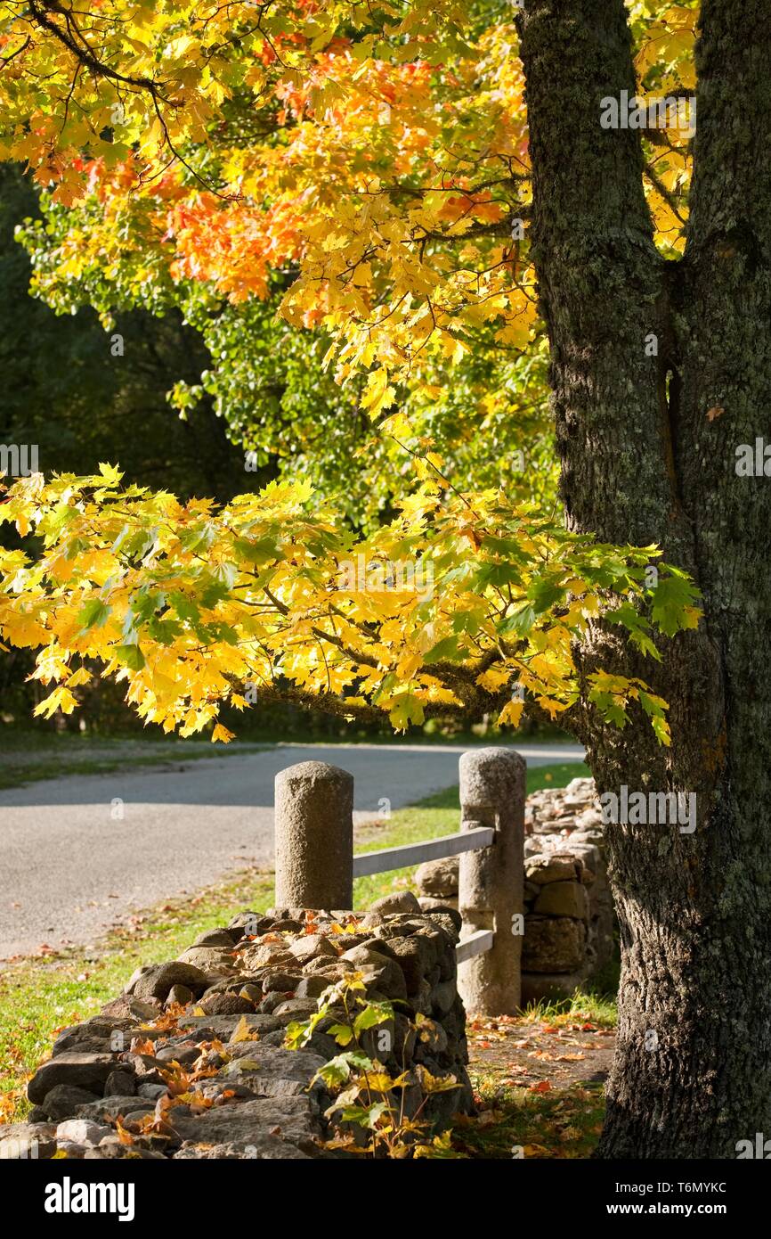 Autumn in Sagadi Stock Photo - Alamy