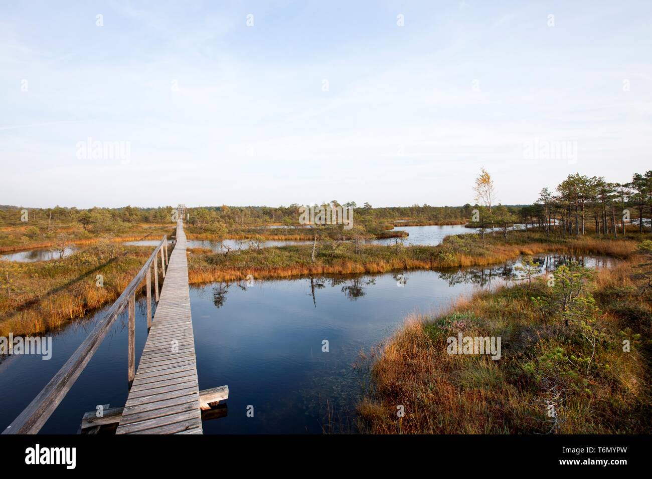 Endla hi-res stock photography and images - Alamy