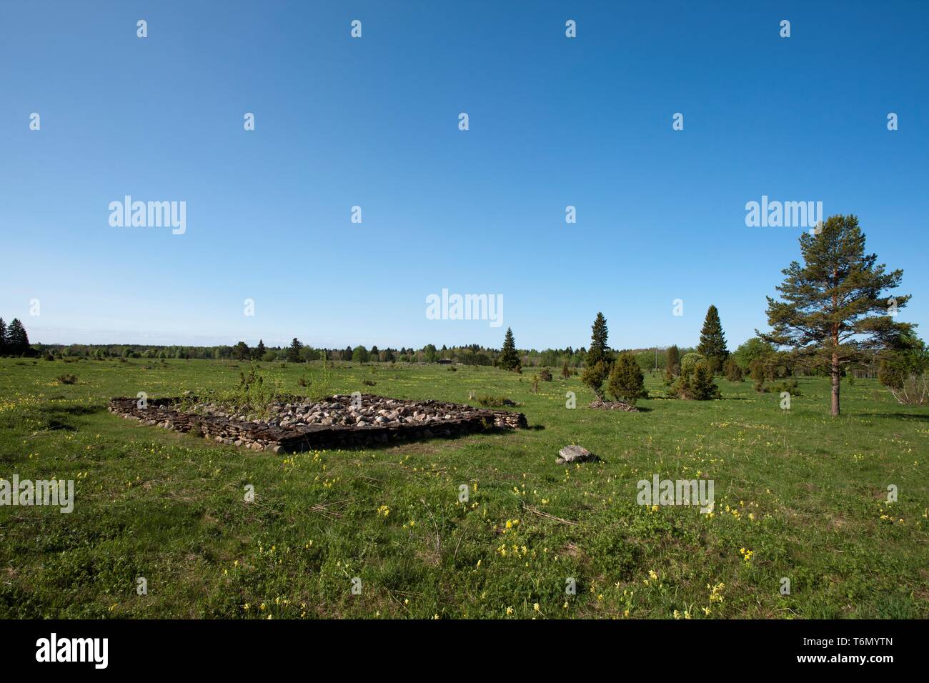 Ancient fields and burial place in UuskÃ¼la, IlumÃ¤e Stock Photo - Alamy