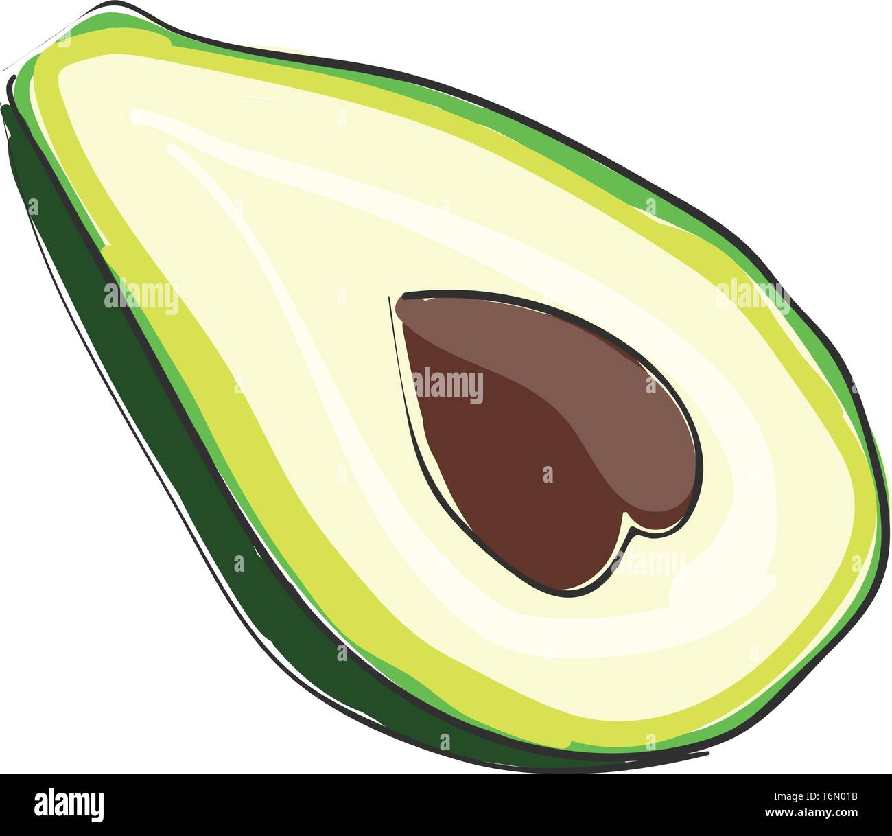 Drawing of a fresh large avocado which is cut slice showing its hard ...