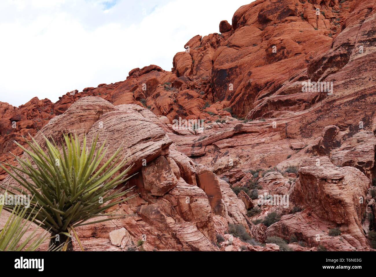 Redrock canyons hi-res stock photography and images - Alamy
