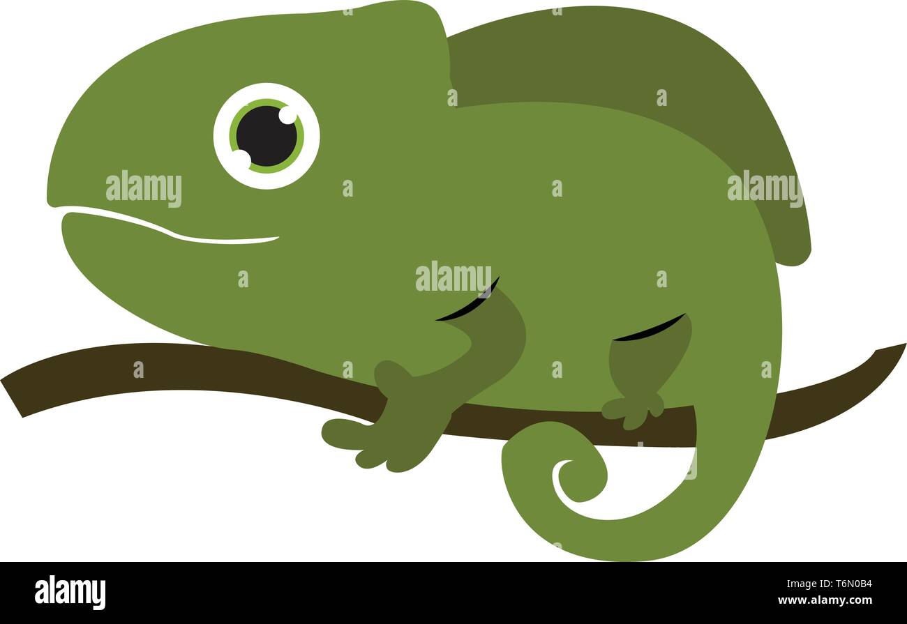 Chameleon change color Stock Vector Images - Alamy