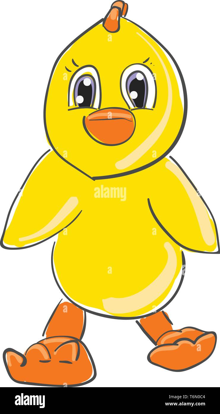 A cartoon of a cute yellow chicken which is standing vector color ...