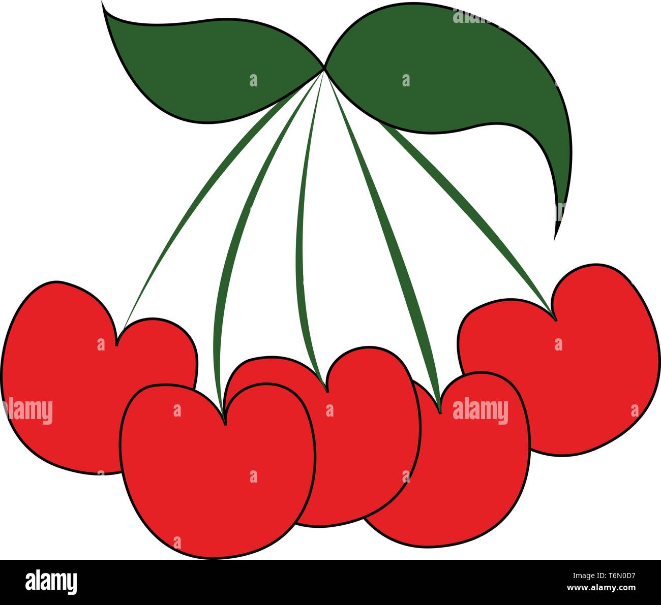 A bunch of sweet cherries which are fresh and red in color vector color ...