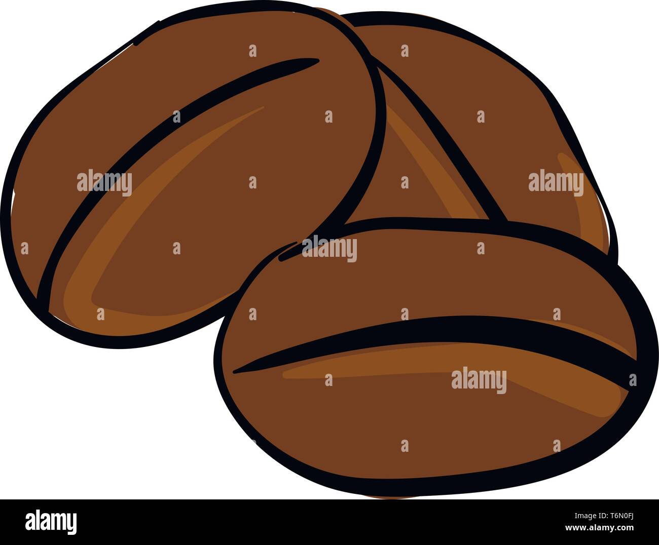 Fresh coffee beans with strong aroma which is rich vector color drawing ...