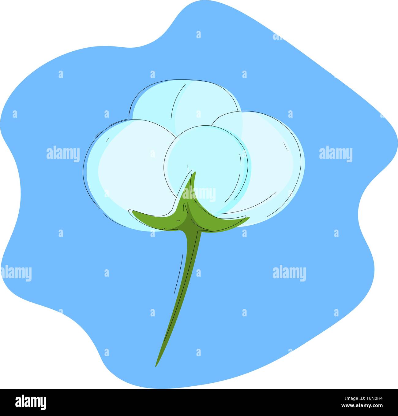Cotton bloom drawing Stock Vector Images - Alamy