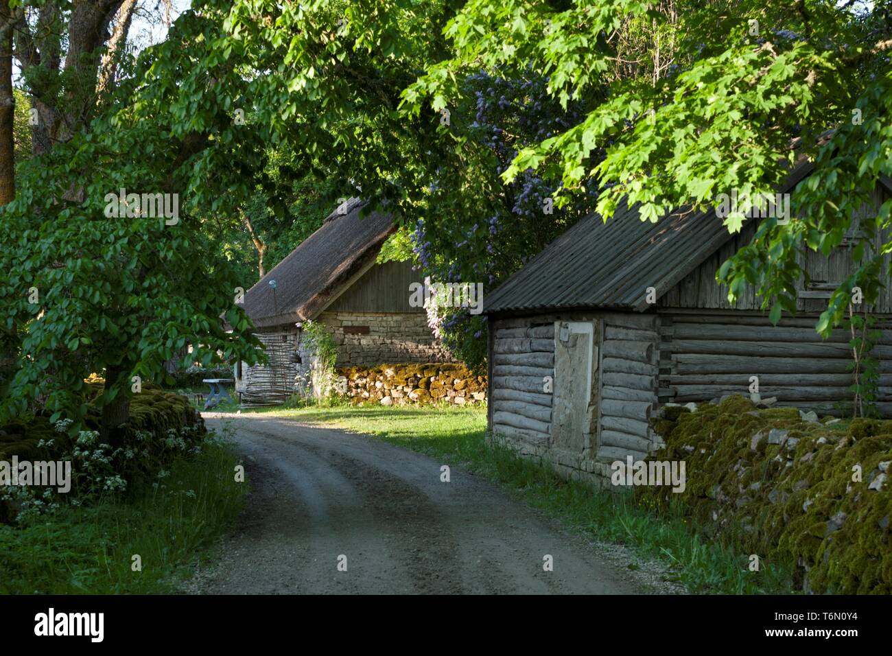 Koguva museum hi-res stock photography and images - Alamy