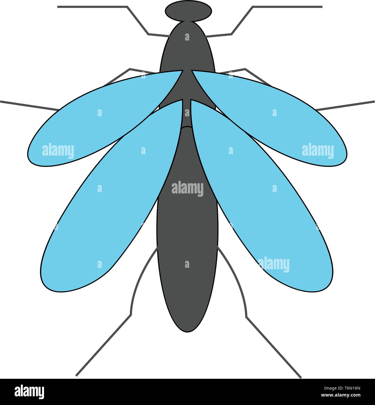 Elongated forewings Stock Vector Images - Alamy