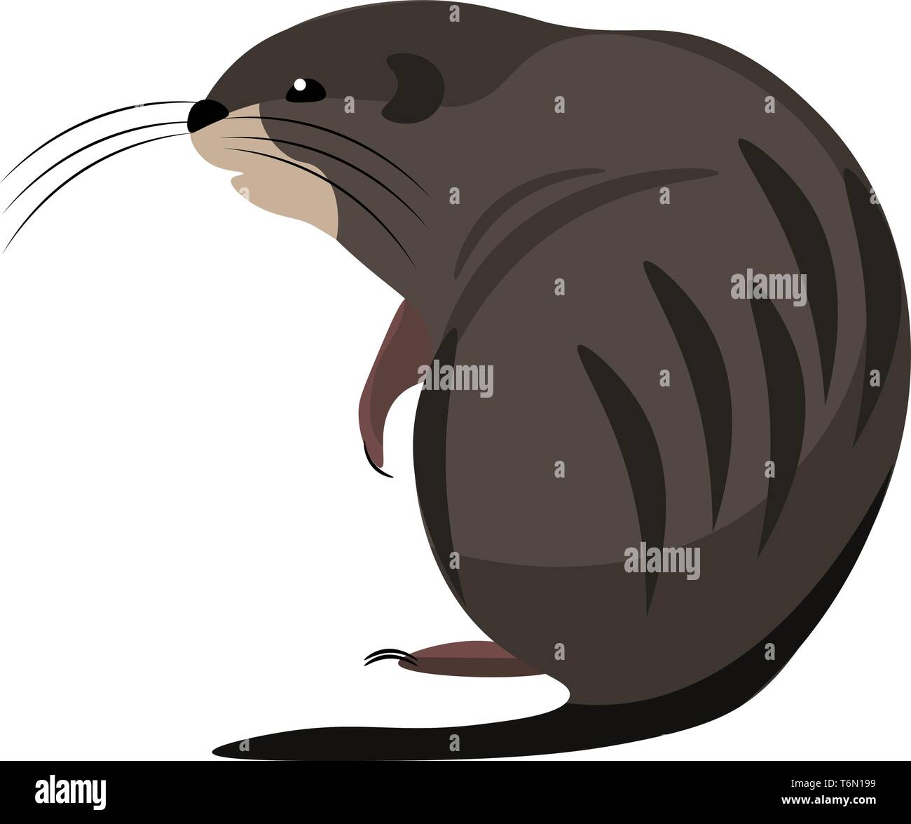 Muskrat illustration Stock Vector Images - Alamy