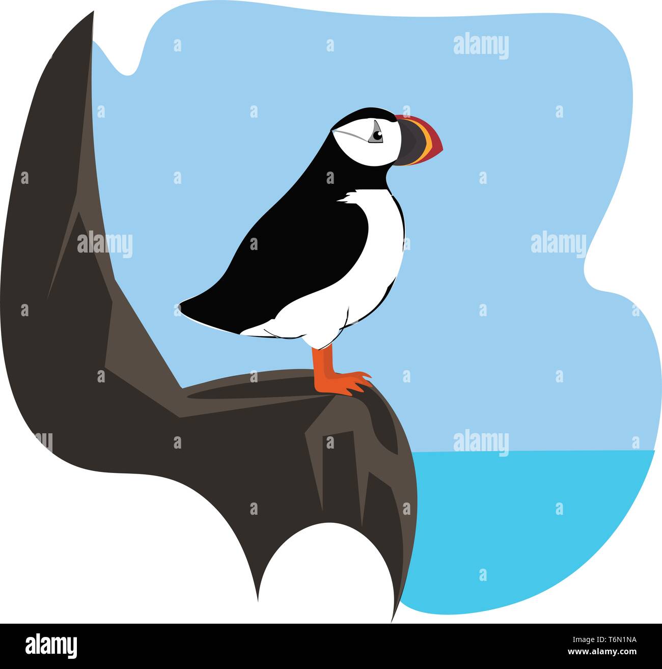Portrait of a puffin bird in white and black has a colorful stout beak ...