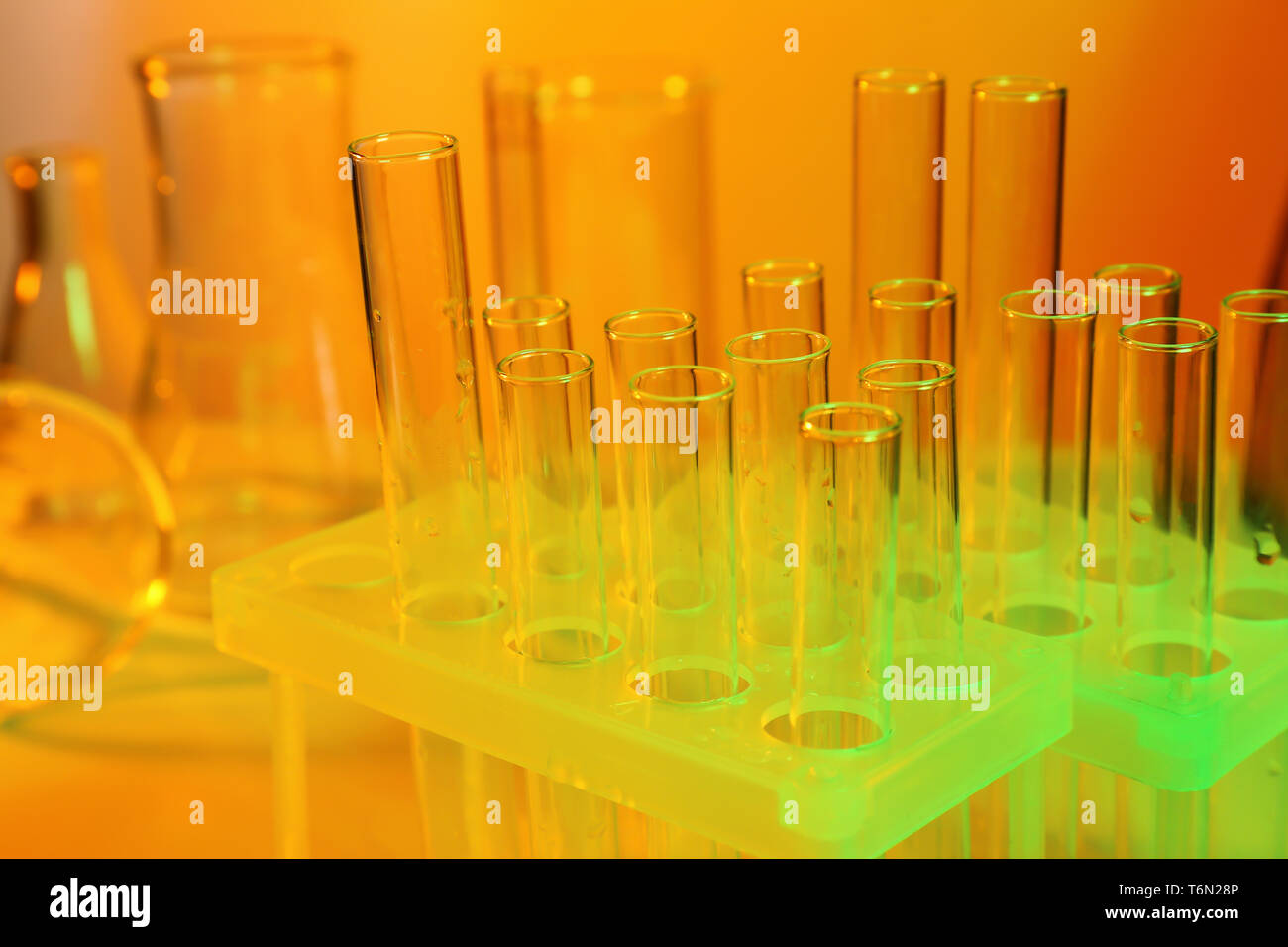 Empty test tubes in laboratory, closeup Stock Photo - Alamy