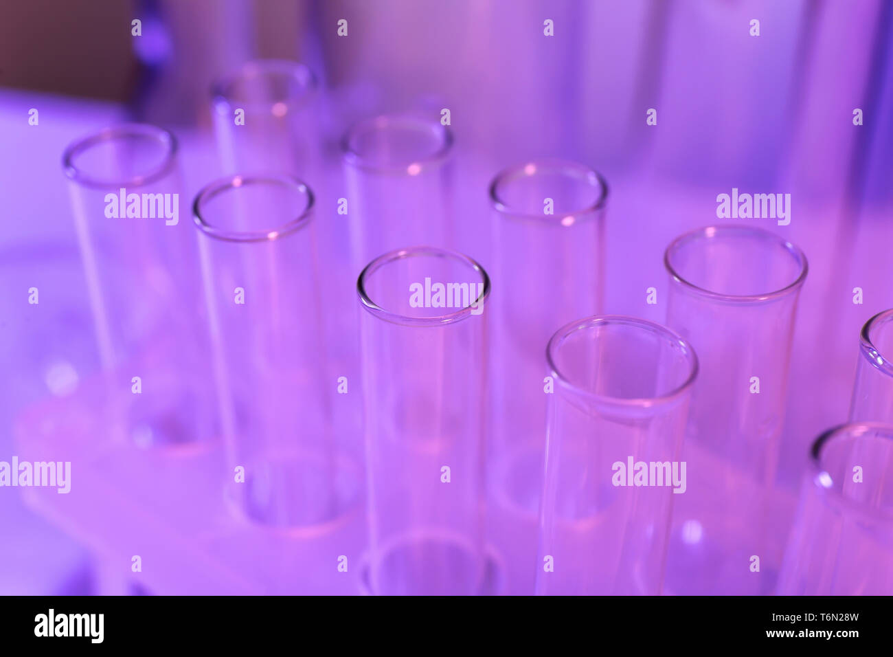 Empty test tubes in laboratory, closeup Stock Photo - Alamy