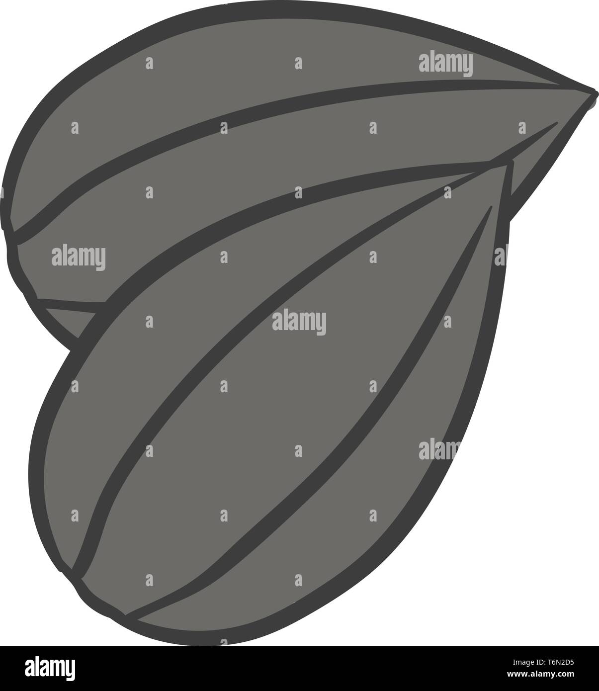 Clipart of two sunflower seeds that looks like plump and grey-colored ...