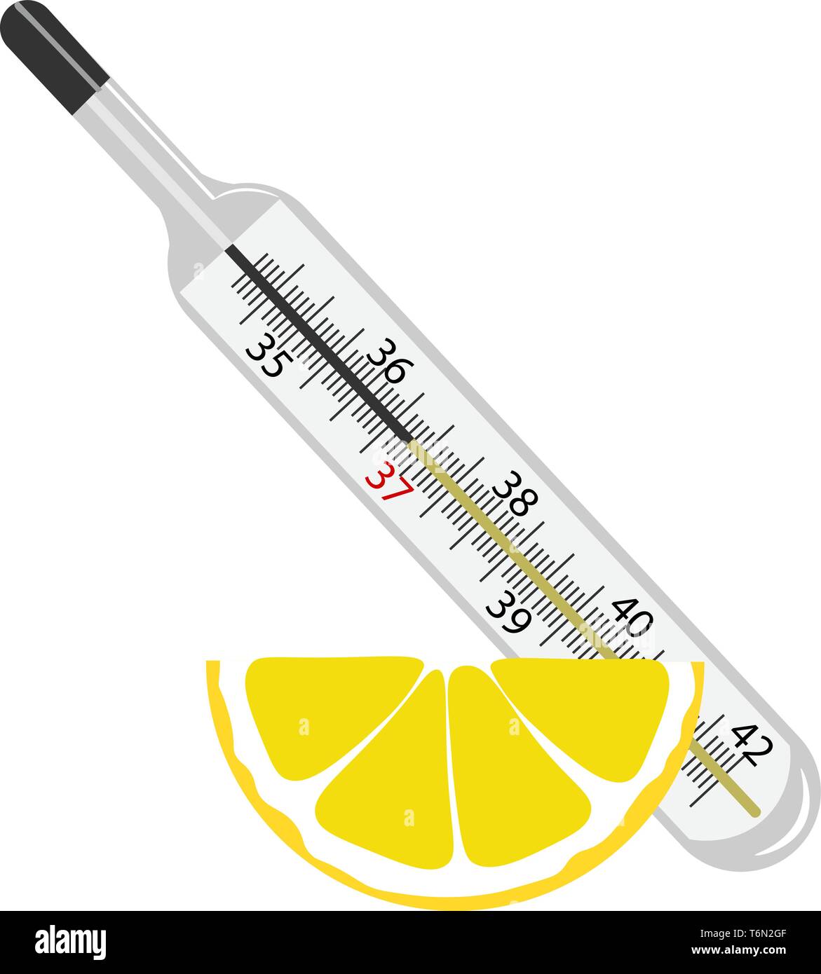 A lemon wedge lying close to a thermometer marked with graduations and ...