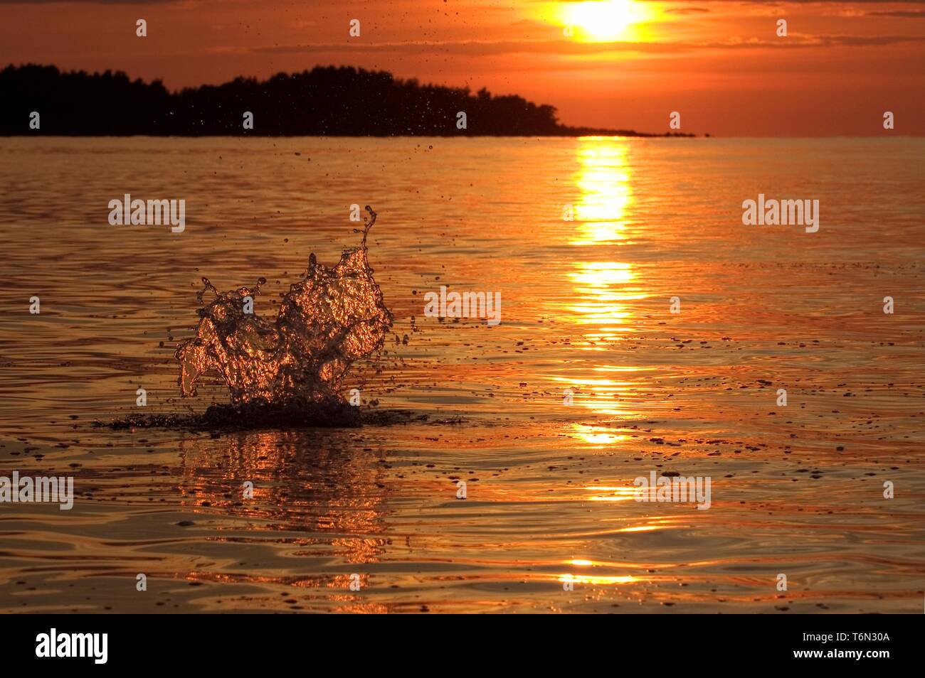 A Splash in Water Stock Photo - Alamy