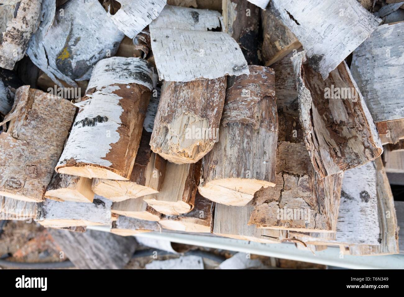 Birch logs lying on the ground. Top and side view Stock Photo - Alamy