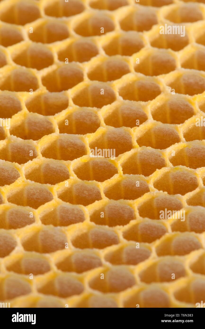 Honey bee patterns hi-res stock photography and images - Alamy