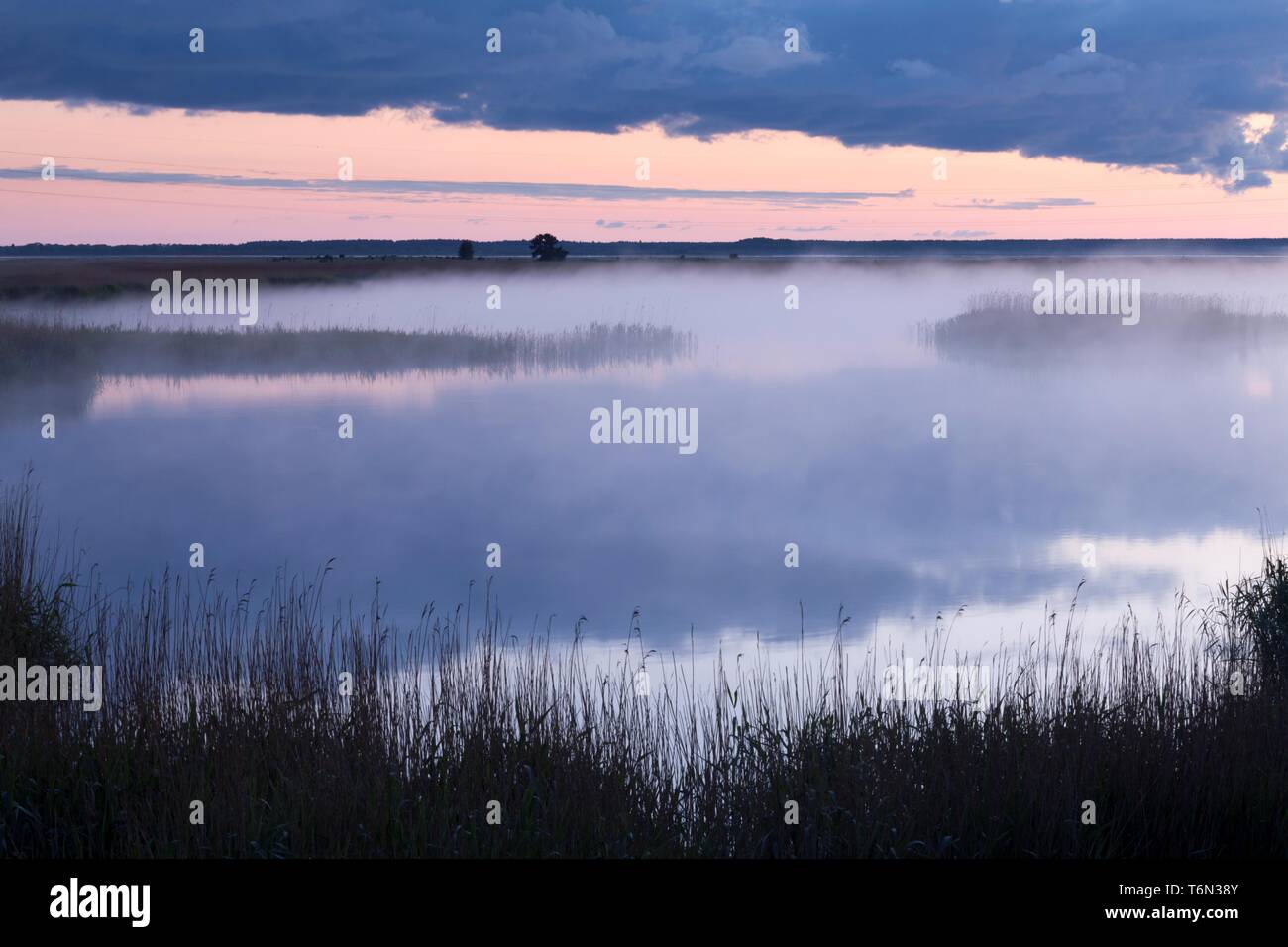 Muhu island hi-res stock photography and images - Alamy