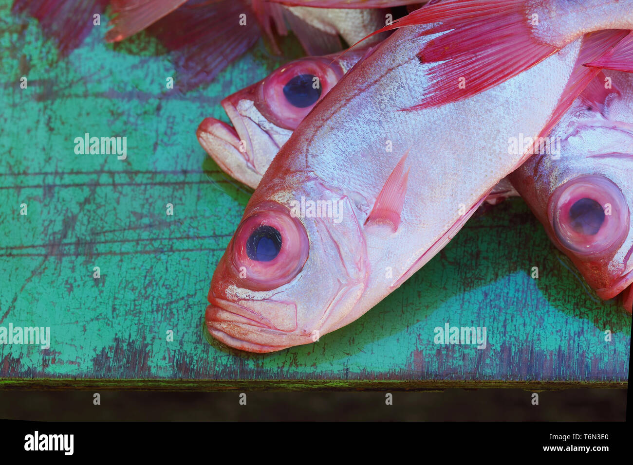 Big Fish Seafood High Resolution Stock Photography and Images - Alamy