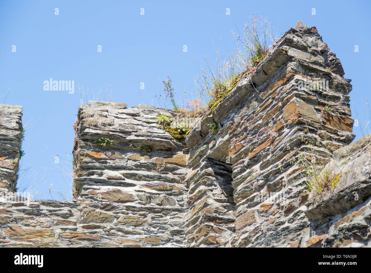 Wall with crenels of an old medieval castle in Germany Stock Photo - Alamy