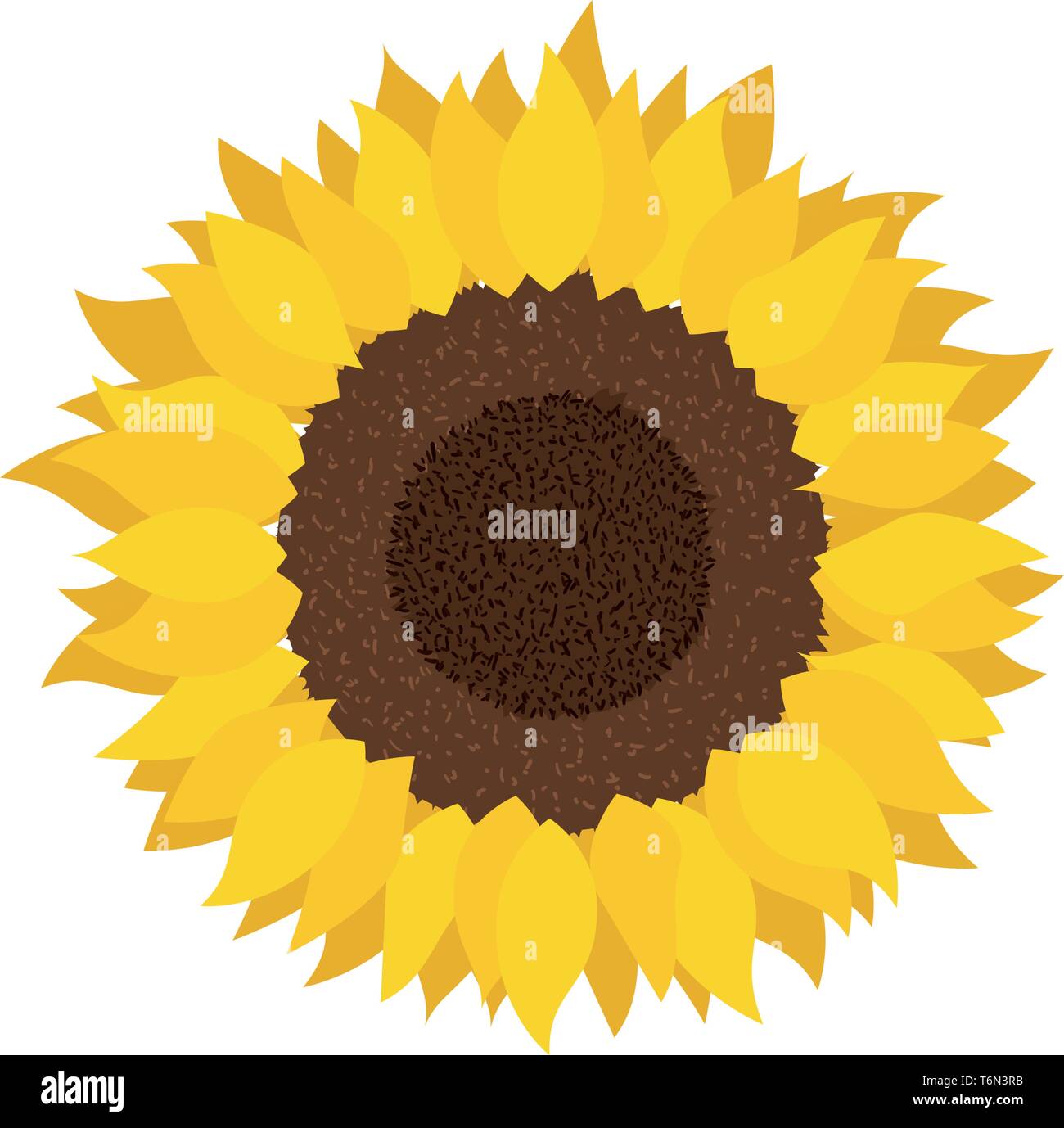 Sunflower flowers wildflowers Stock Vector Images - Alamy