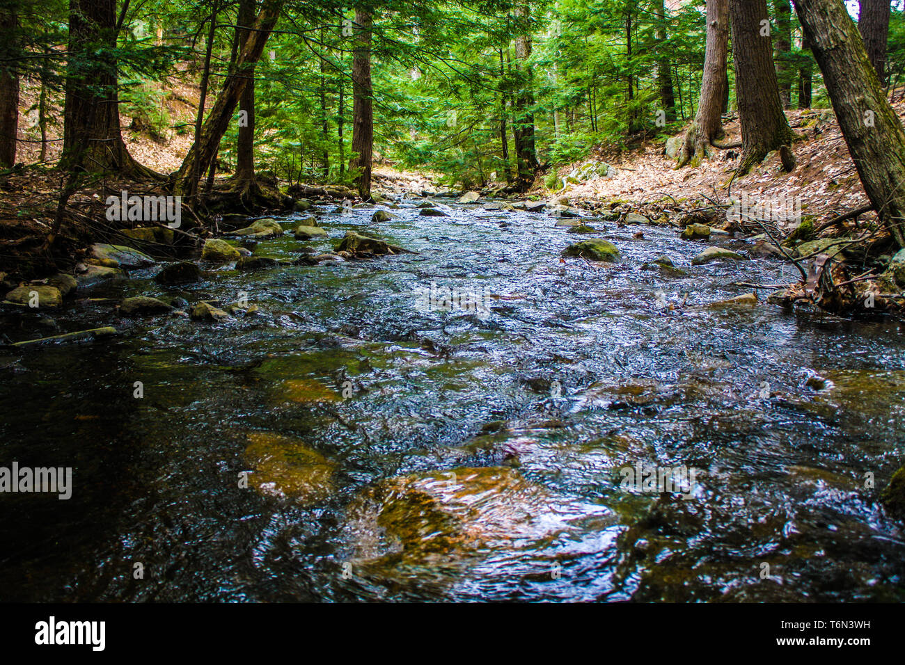 Stream blogger hi-res stock photography and images - Alamy