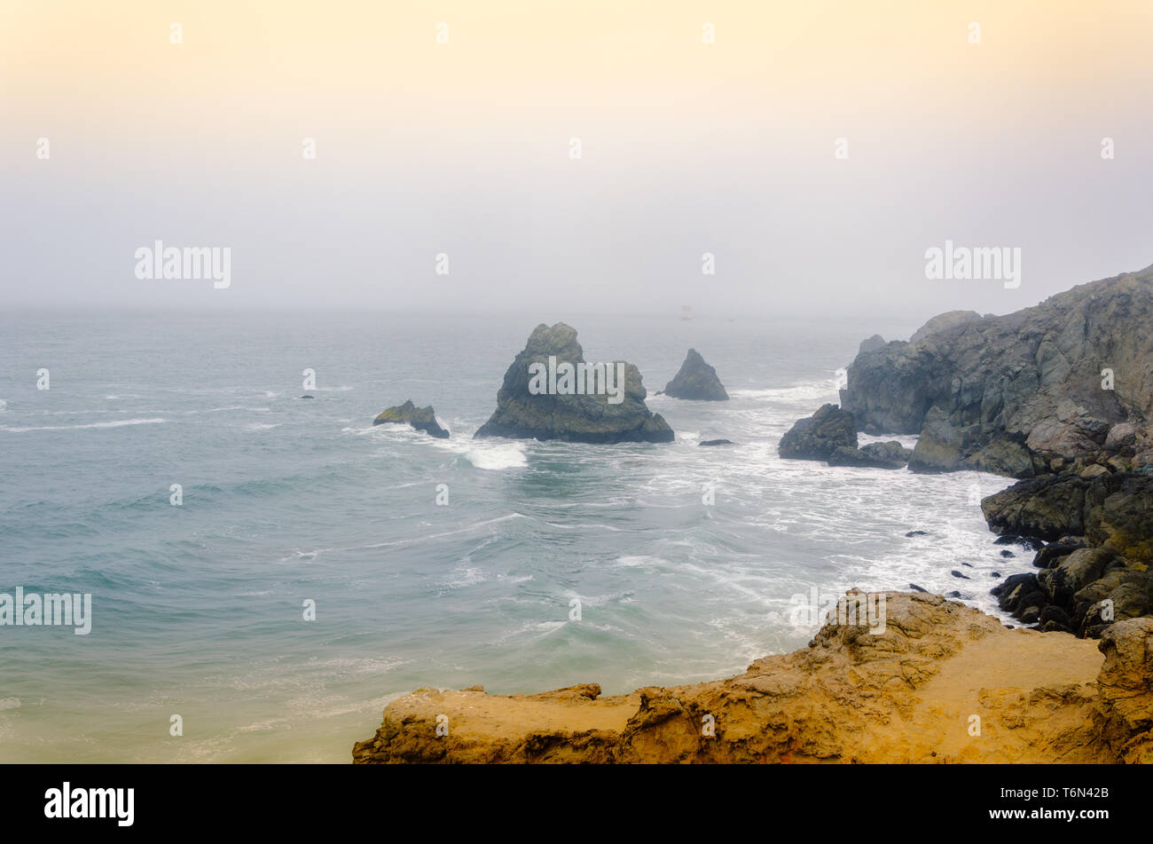 Sutro Baths were a large, privately owned public saltwater swimming ...