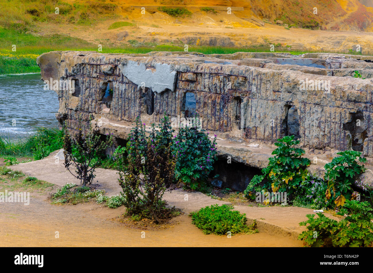 Sutro Baths were a large, privately owned public saltwater swimming ...
