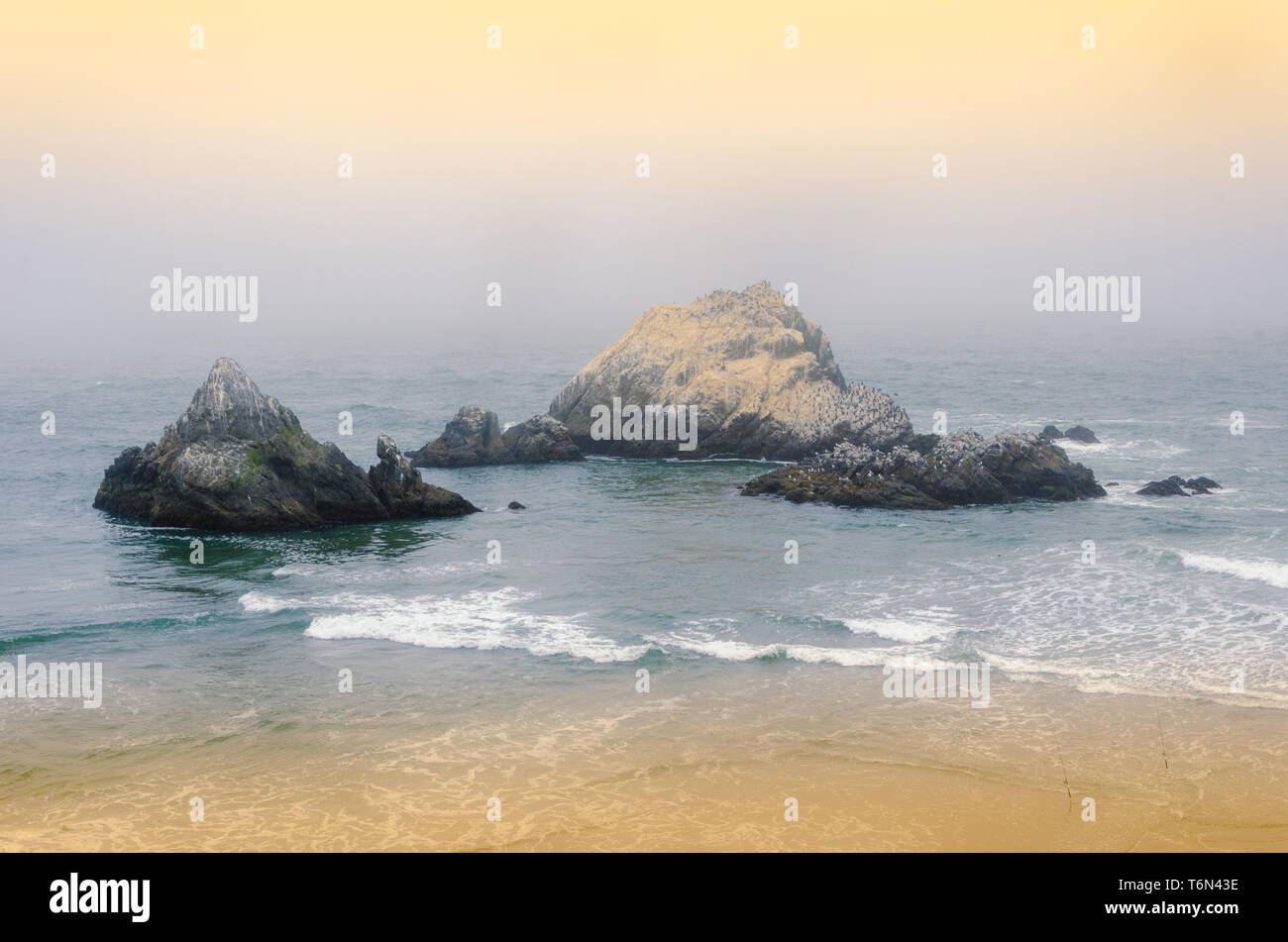 Sutro Baths were a large, privately owned public saltwater swimming ...