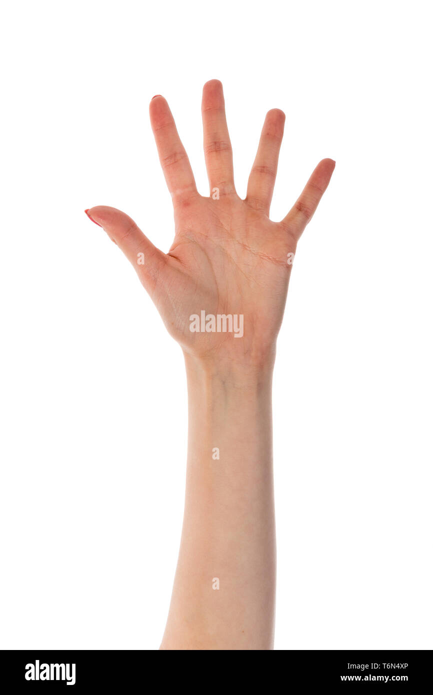 Female hand showing five fingers isolated on white background Stock ...