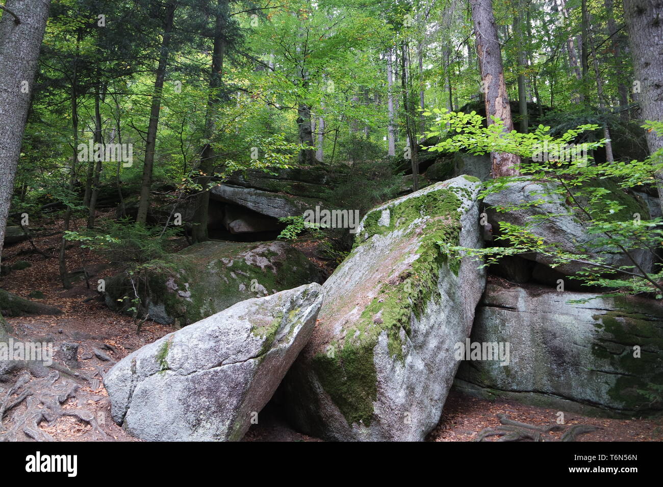 The giant mountains national park hi-res stock photography and images ...