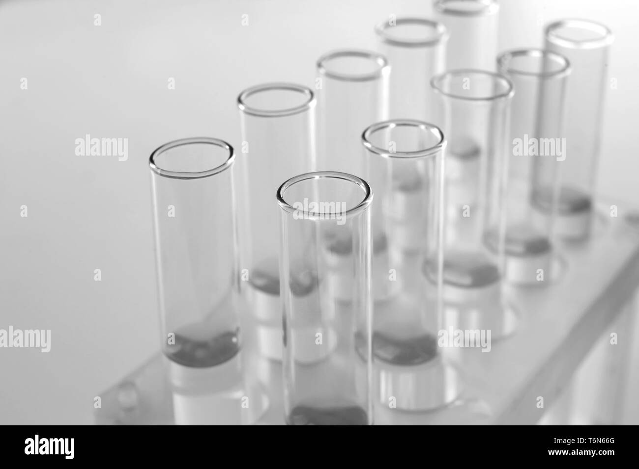 Test tubes in stand on light background, closeup Stock Photo - Alamy