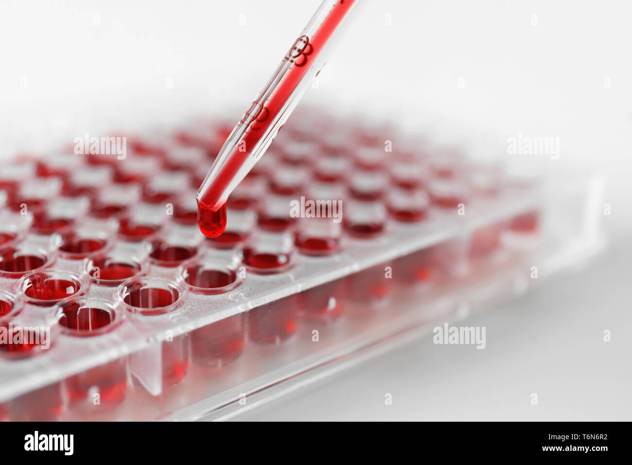 Dripping blood samples into test tubes, closeup Stock Photo - Alamy