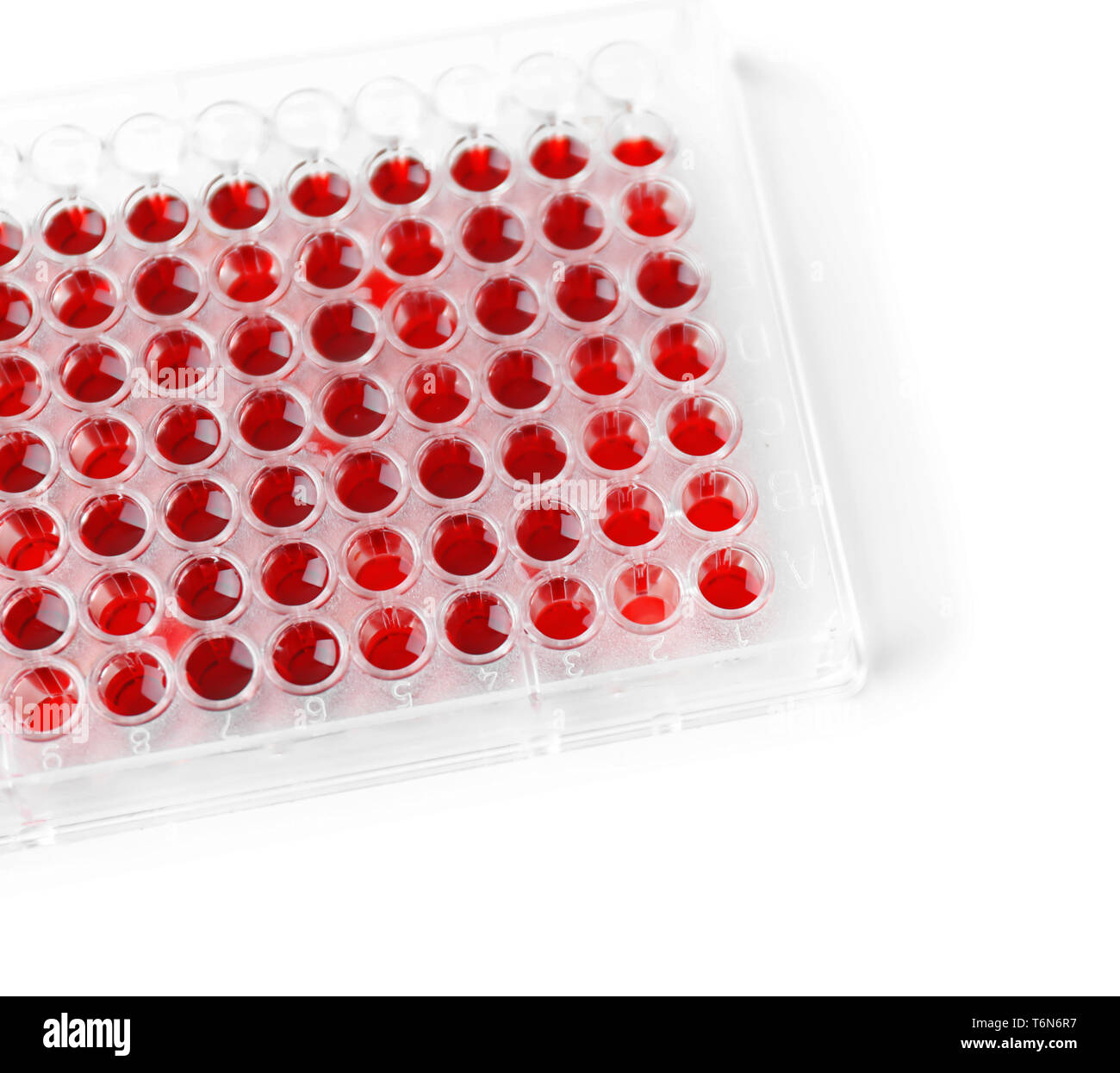 Test tubes with blood samples in holder on white background Stock Photo ...