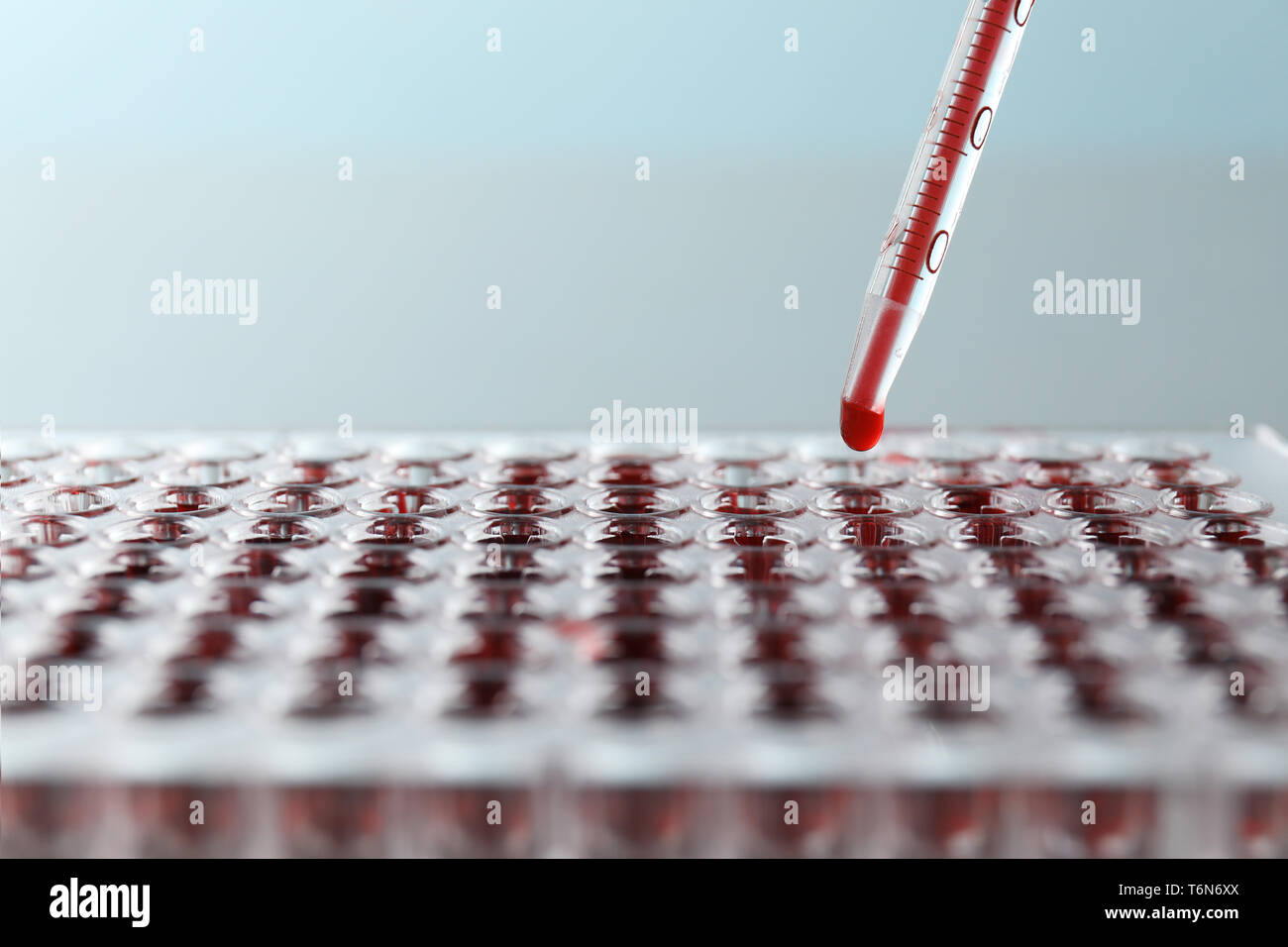 Dripping blood into test tubes, closeup Stock Photo - Alamy
