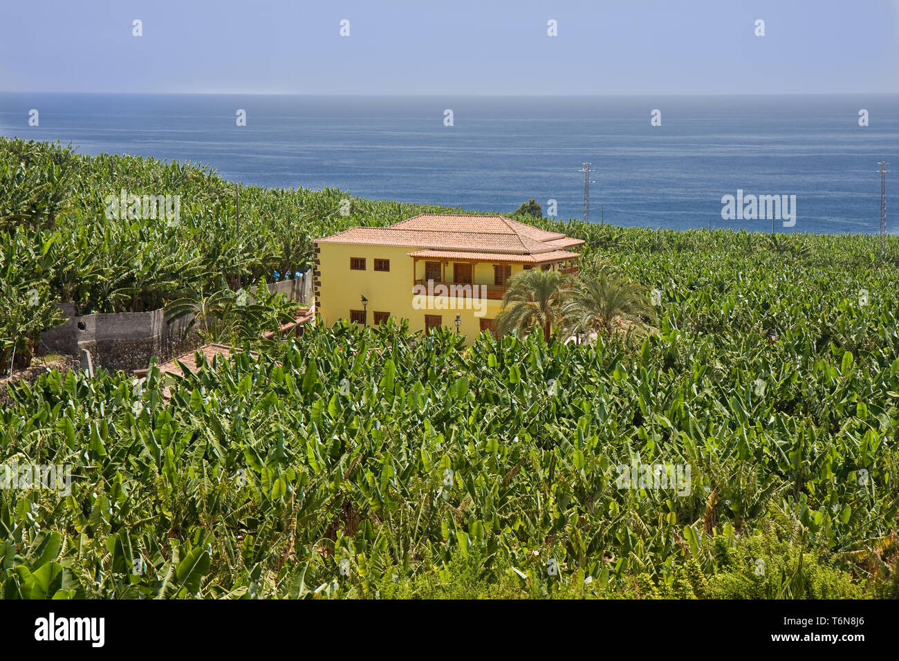 Banana plantation house hi-res stock photography and images - Alamy