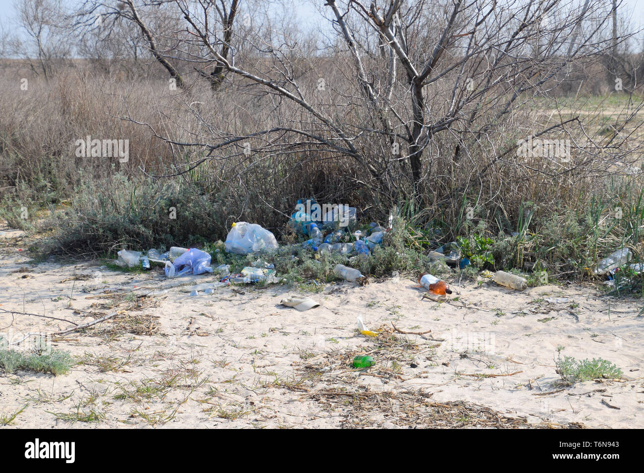 Rubbish under the bushes in nature. Garbage left by tourists, pollution ...